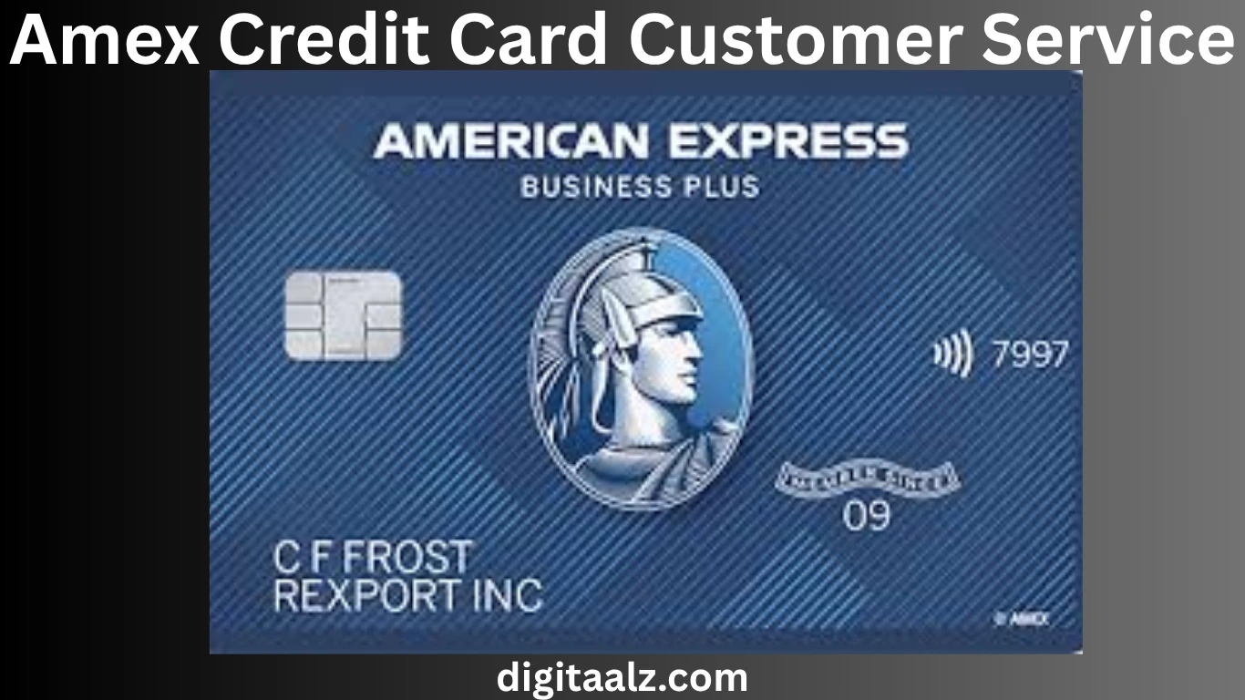 Amex Credit Card Customer Service Explained - Digitaalz